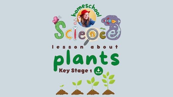 Key Stage 1 Science Lesson: How Do Plants Grow What Do - Etsy