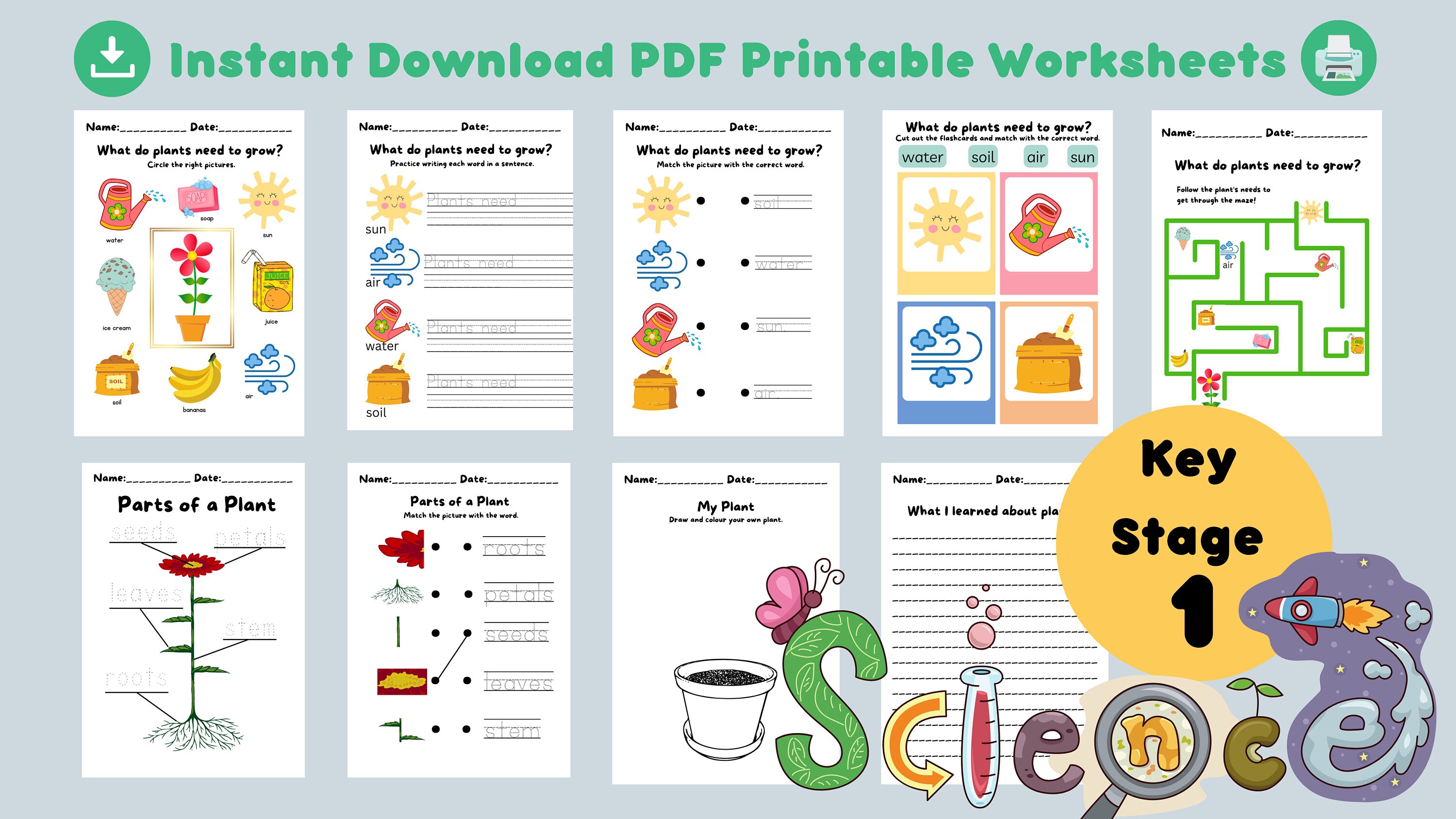 Key Stage 1 Science Lesson: How Do Plants Grow What Do Flowers Need ...