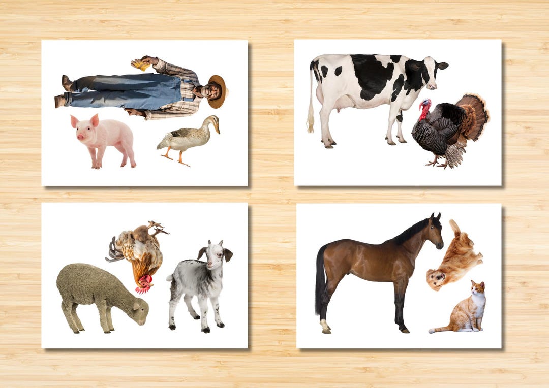 Old Macdonald Had A Farm Printable Props Nursery Rhymes Baby Toddler ...