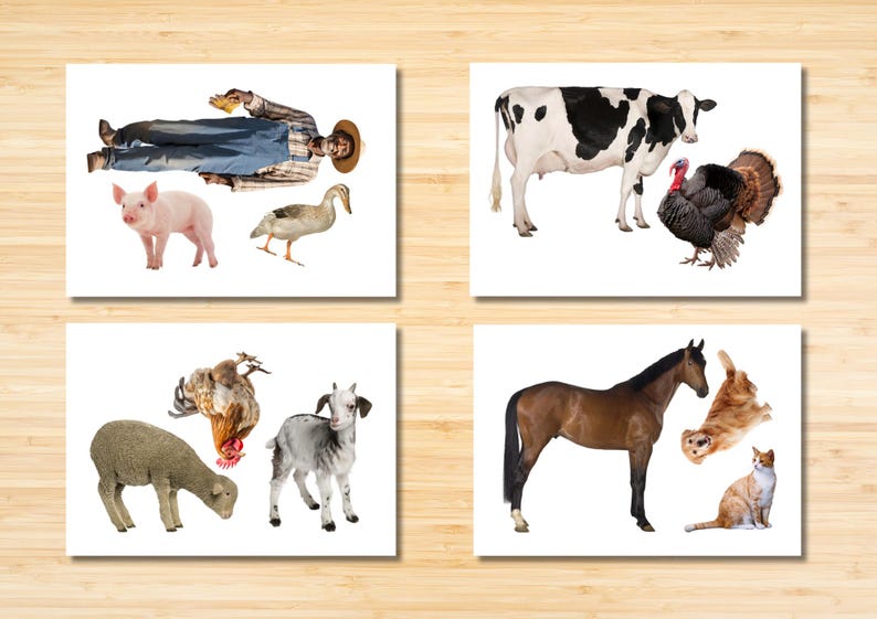 Old Macdonald Had A Farm Printable Props Nursery Rhymes Baby Toddler ...