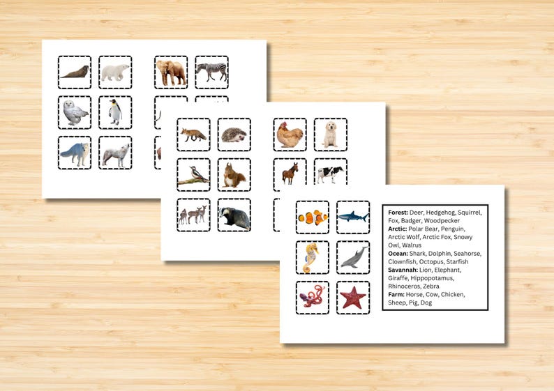 Animal Habitat Sorting Activity: Montessori Geography Environment ...