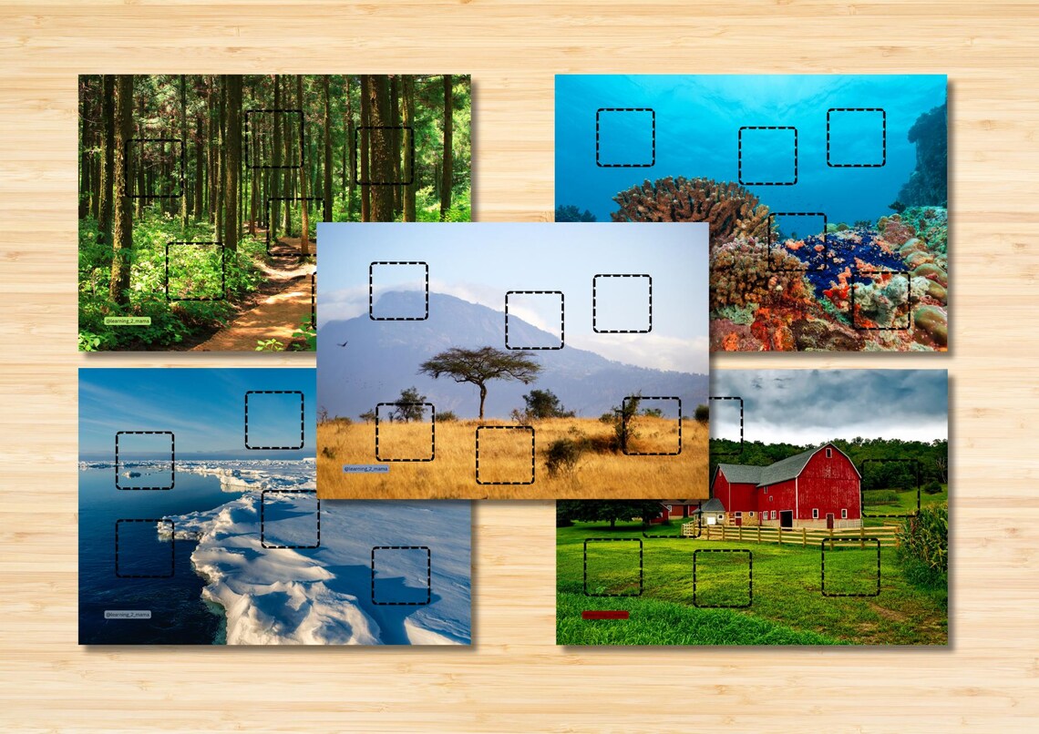 Animal Habitat Sorting Activity: Montessori Geography Environment ...