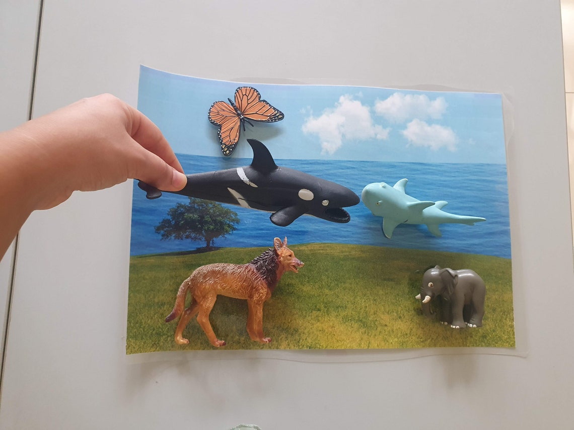 Water, Air, Land Preschool Activity - A3 Printable Montessori Digital ...