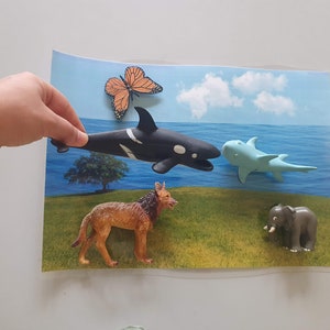 Water, Air, Land Preschool Activity - A3 Printable Montessori Digital ...