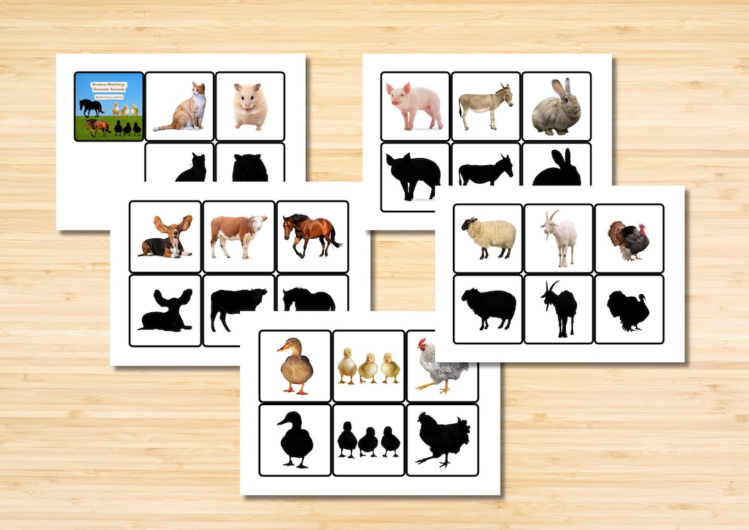 Shadow Matching Domestic Animals Flash Cards Instant Download ...