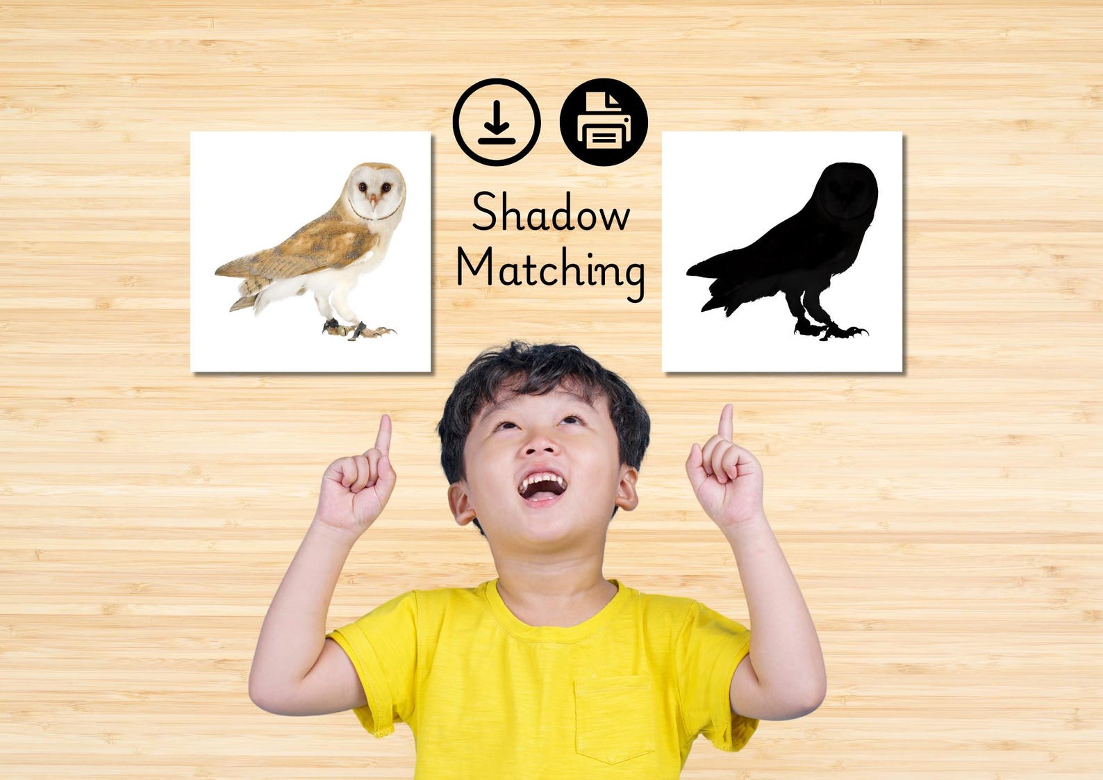 Forest Animals Shadow Matching Flash Cards: Montessori Memory Game ...