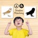 Forest Animals Shadow Matching Flash Cards: Montessori Memory Game ...