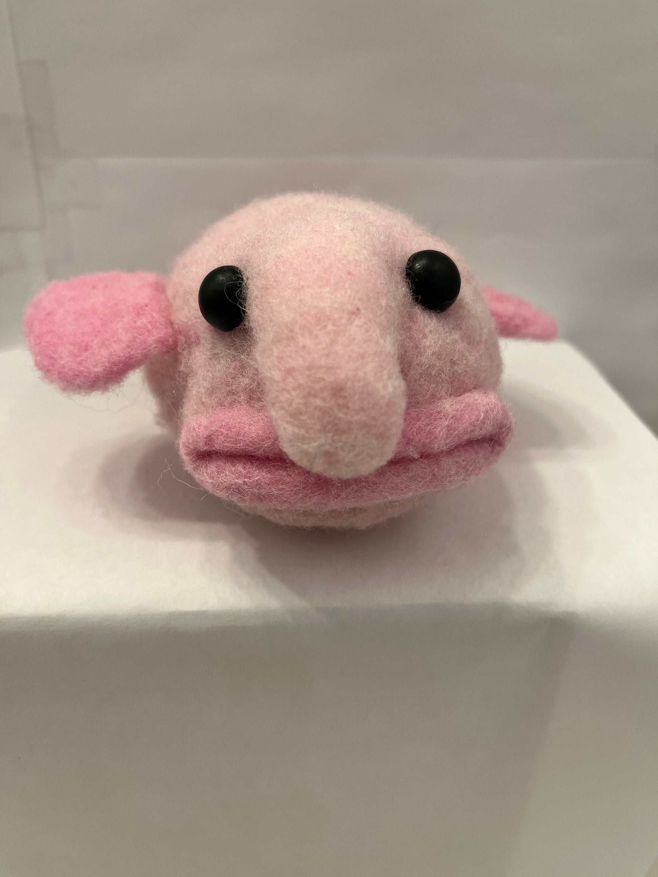 Needle Felted Blob Fish - Etsy
