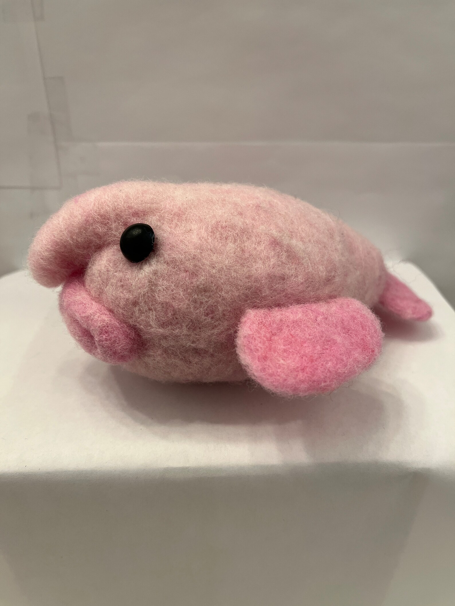 Needle Felted Blob Fish - Etsy