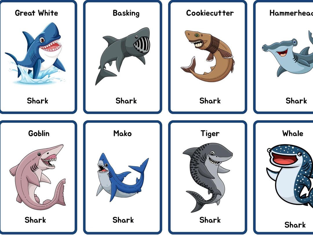 Shark Predator-prey Matching Game + Fact Cards & Certificate - Etsy