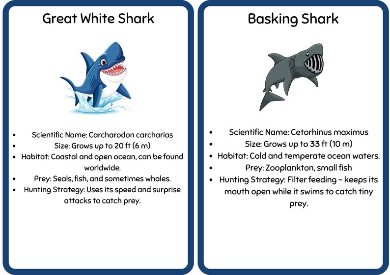 Shark Predator-prey Matching Game + Fact Cards & Certificate - Etsy