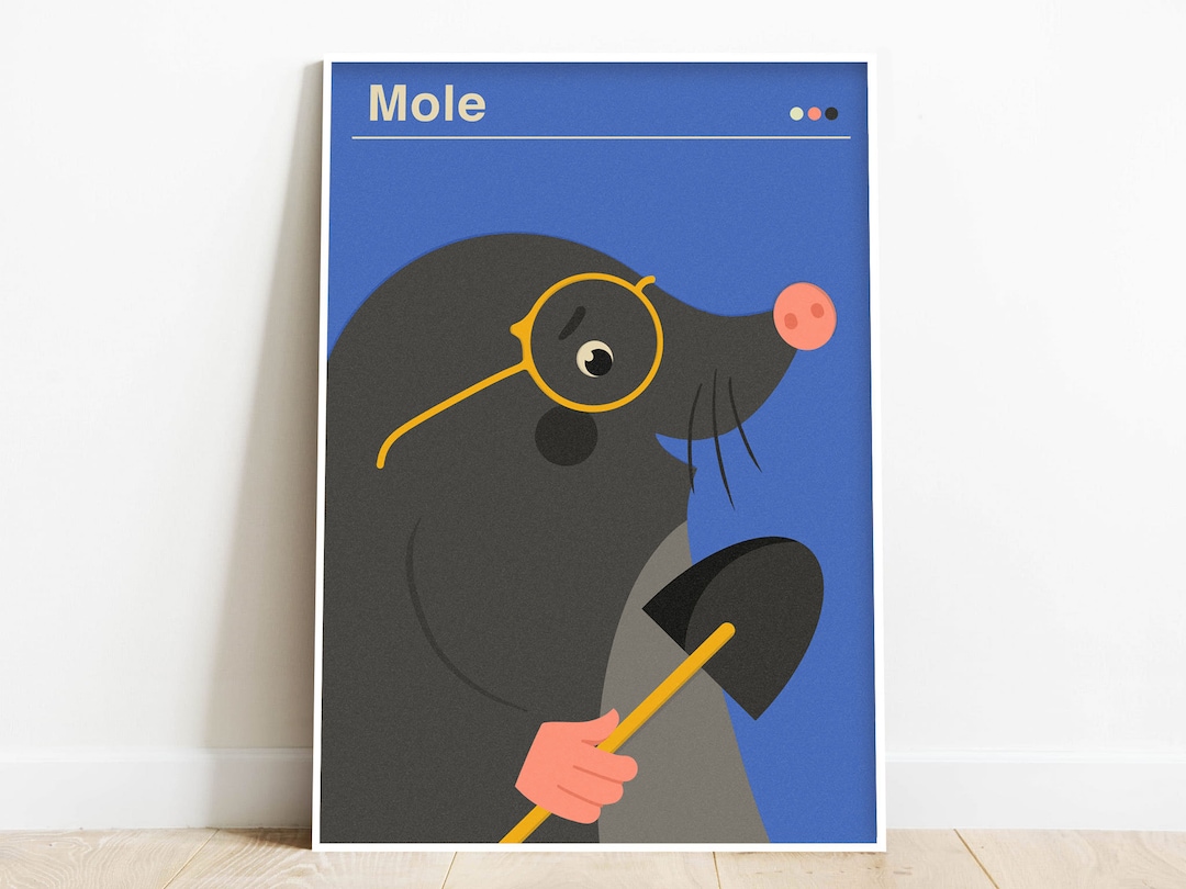Mole Poster - Etsy