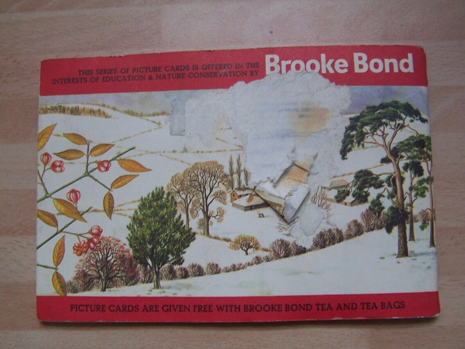 Tea Cards, Brooke Bond, Picture Cards, Trees in Britain, Album ...