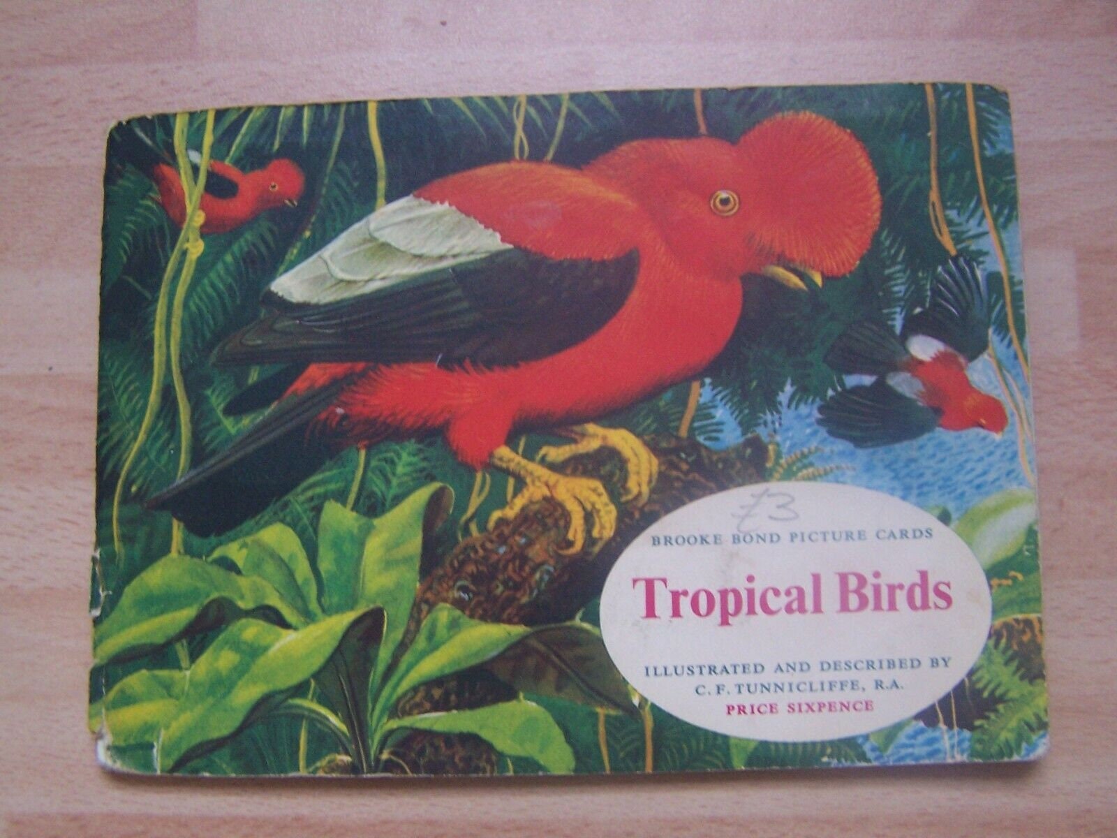 Tea Cards, Brooke Bond, Picture Cards, Tropical Birds, History, Album ...
