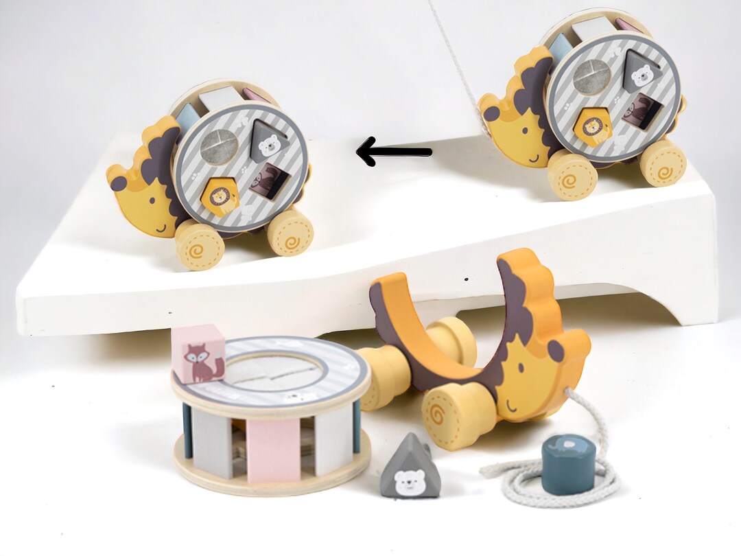 3-in-1, Wooden Push-pull Shape Sorting Toy, Toy Blocks, Montessori Toy ...