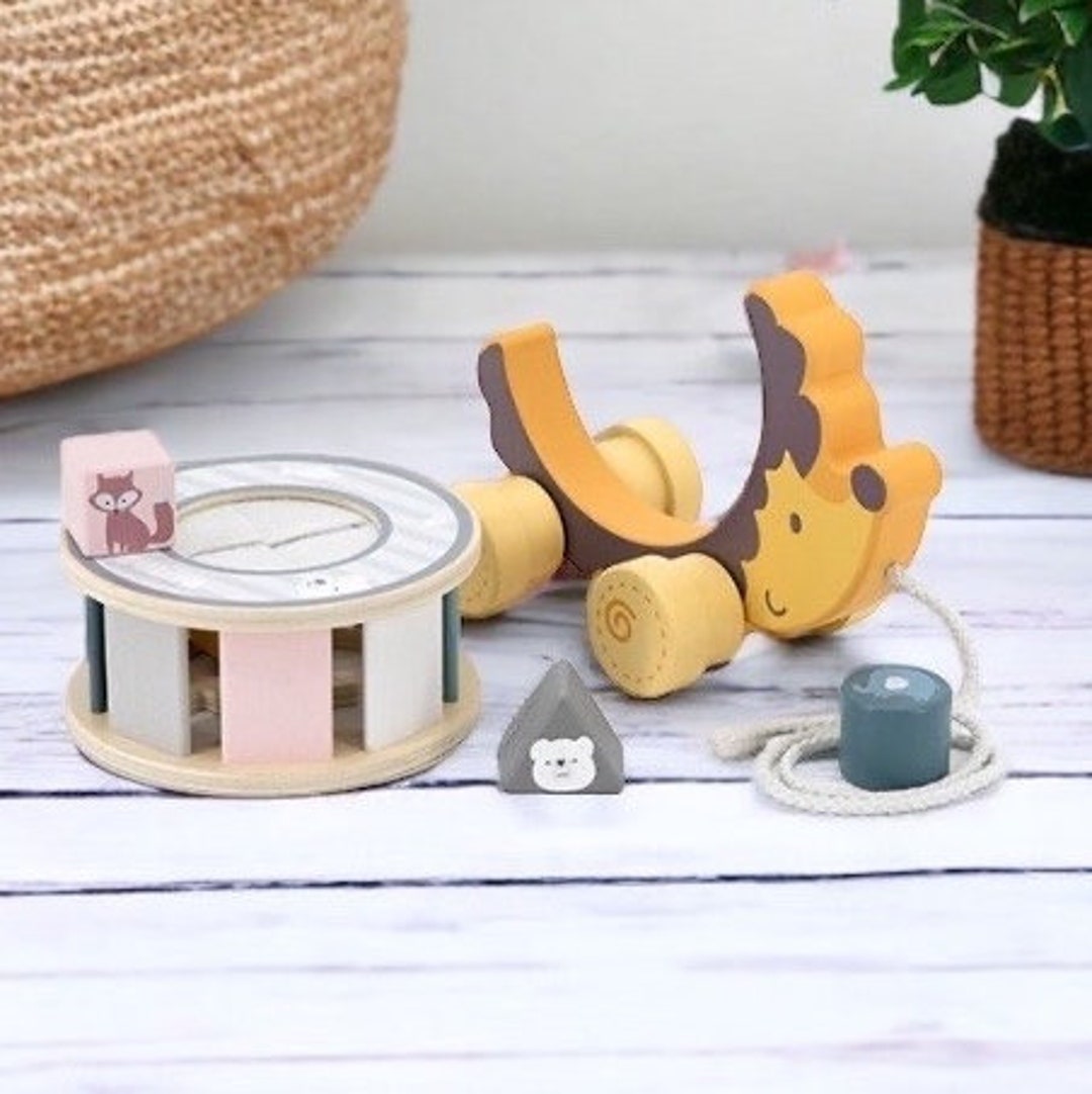 3-in-1, Wooden Push-pull Shape Sorting Toy, Toy Blocks, Montessori Toy ...