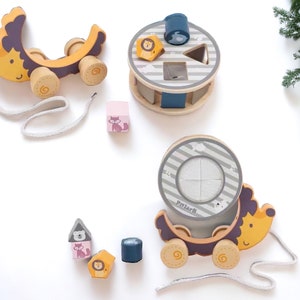 3-in-1, Wooden Push-pull Shape Sorting Toy, Toy Blocks, Montessori Toy ...