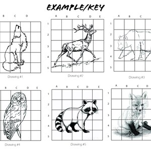 Mystery Grid Animal Drawings – Art Class Worksheets (digital Download ...