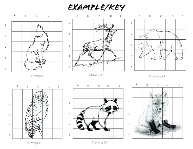 Mystery Grid Animal Drawings – Art Class Worksheets (digital Download ...