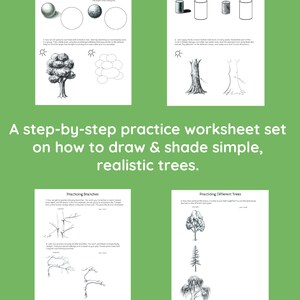 Tree Drawing Practice Worksheets for Highschool Drawing Class With ...