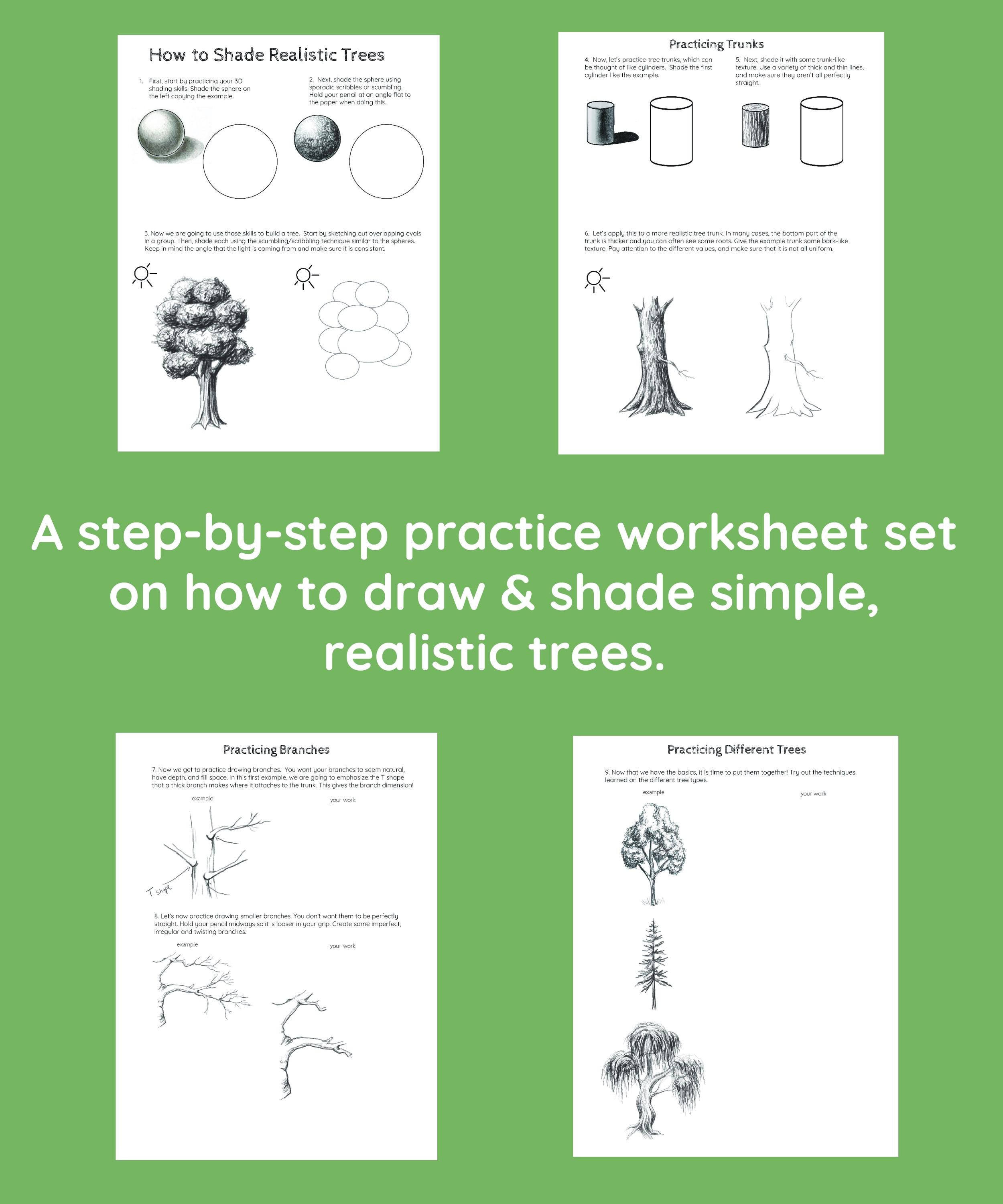 Tree Drawing Practice Worksheets for Highschool Drawing Class With ...
