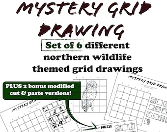 Mystery Grid Animal Drawings – Art Class Worksheets (digital Download ...