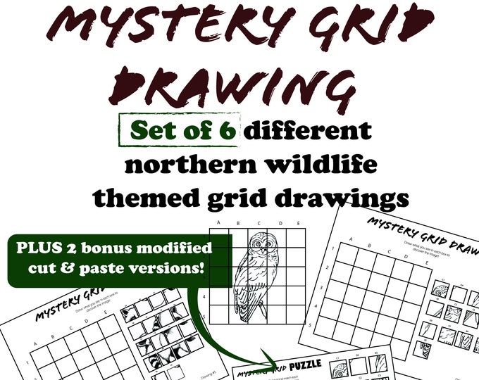 Mystery Grid Animal Drawings – Art Class Worksheets (digital Download ...