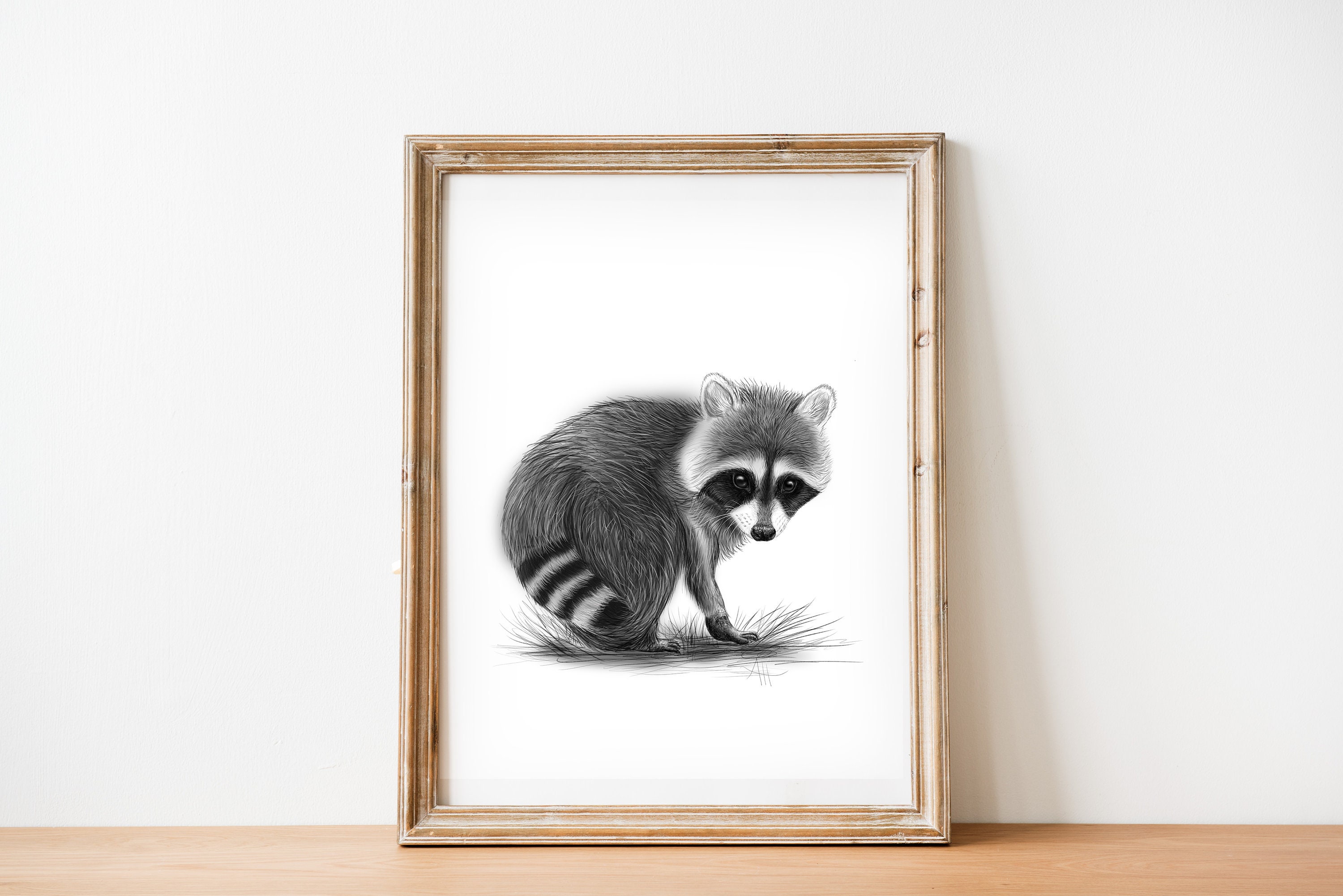 Baby Raccoon Drawing Print Woodland Animal Nursery Art - Etsy