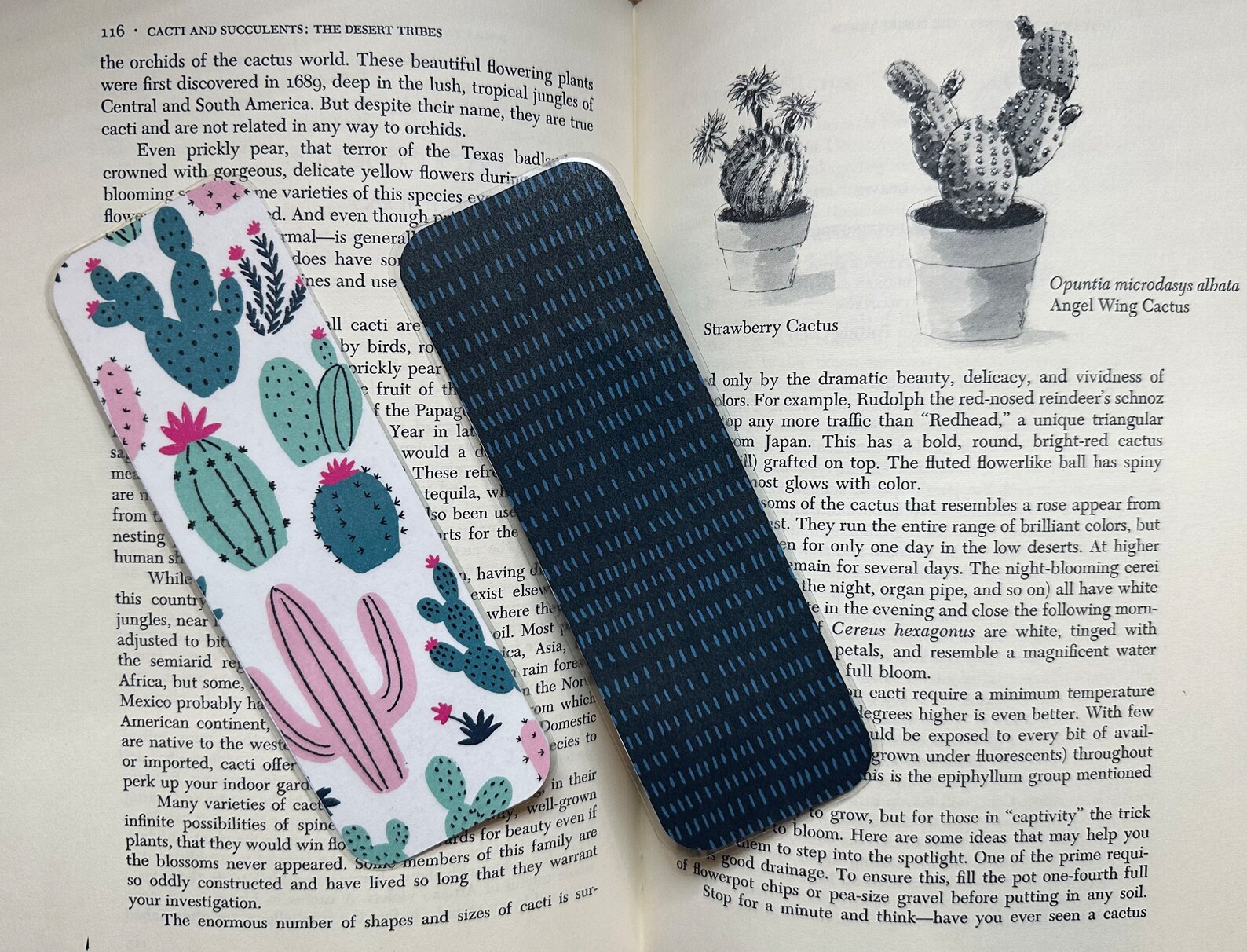 Cactus Succulent Double Sided Bookmark Laminated Regular - Etsy