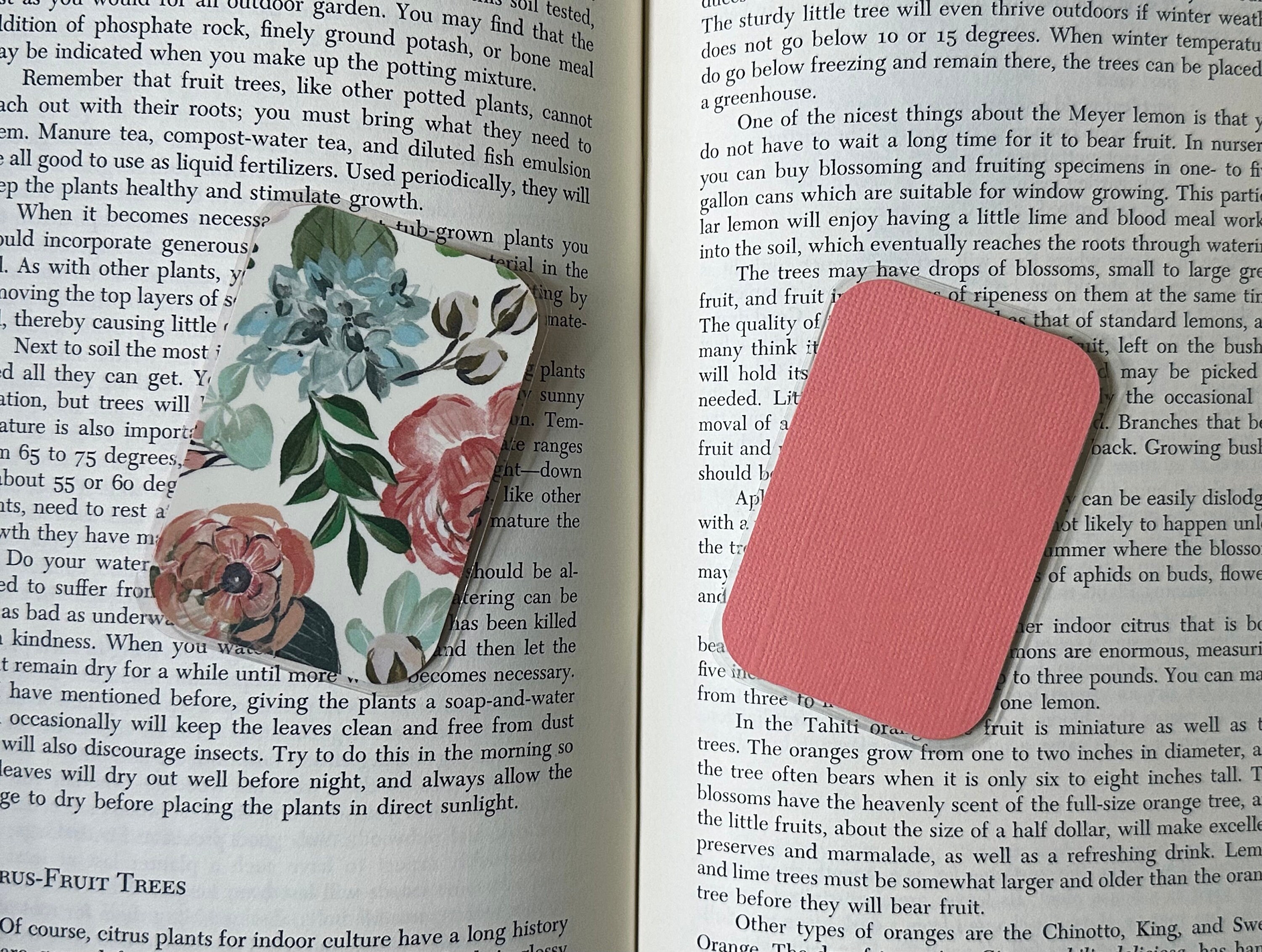 Peach Floral Bookmark, Laminated, Regular Size or Mini - Etsy