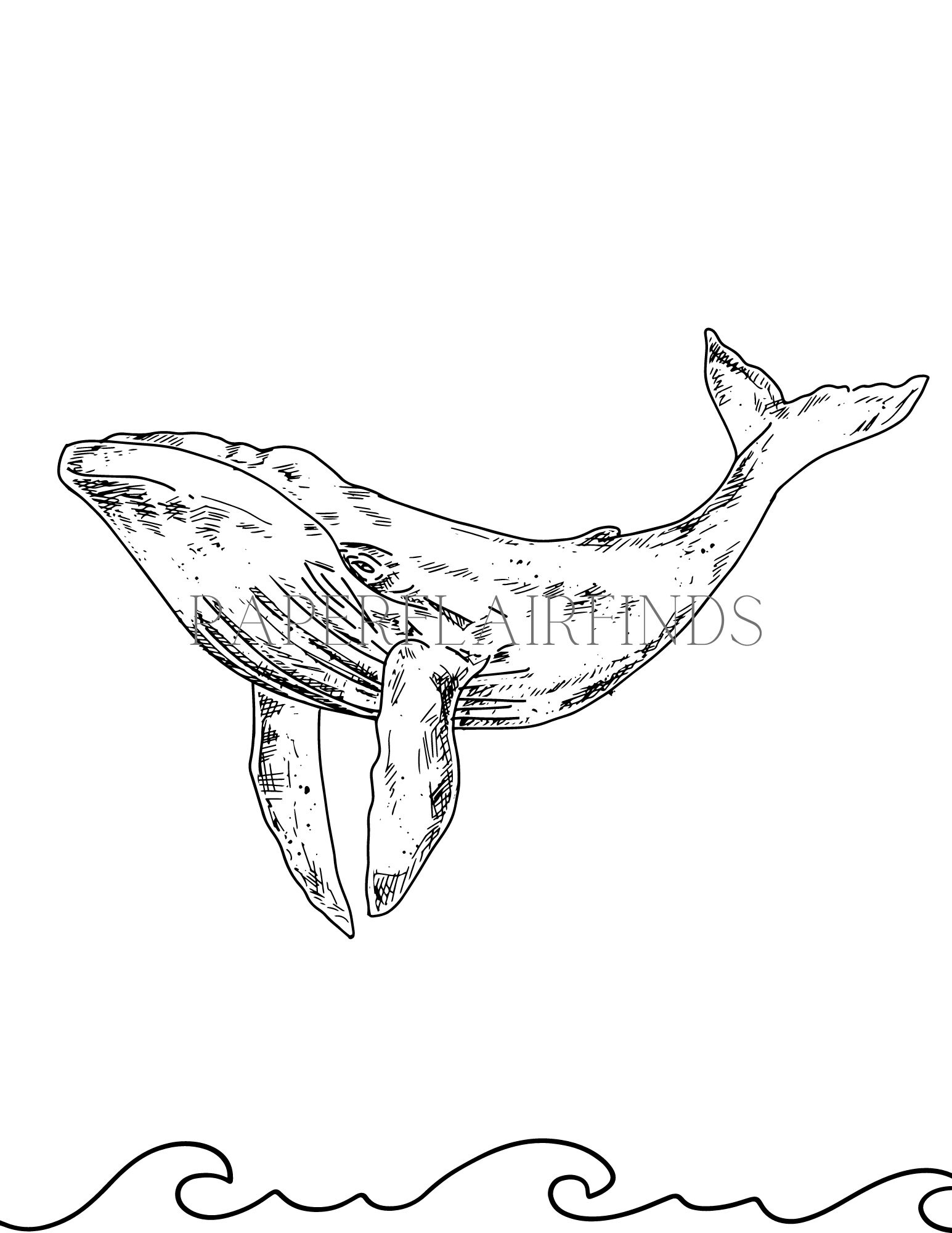 10 Kids Coloring Pages, Printable Coloring Pages, Ocean Coloring Pages ...
