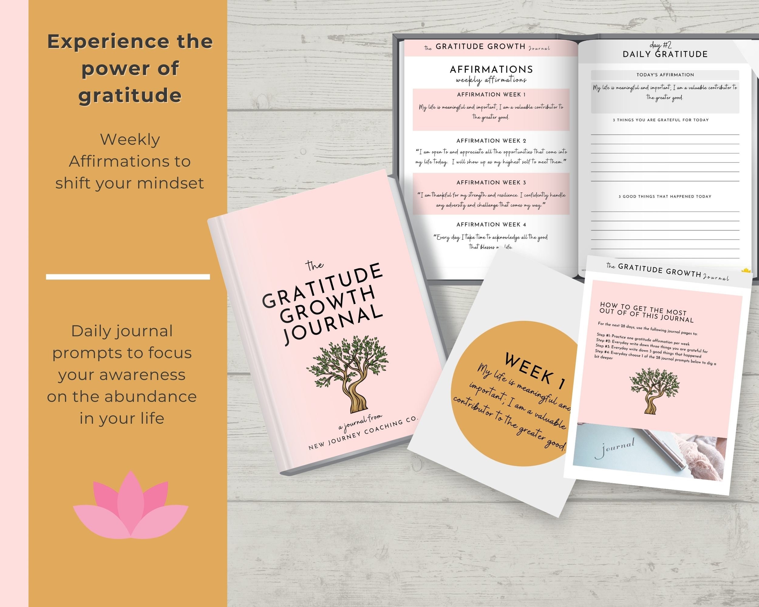 30 Day Gratitude Journal Printable Journal Prompts Affirmations Daily ...