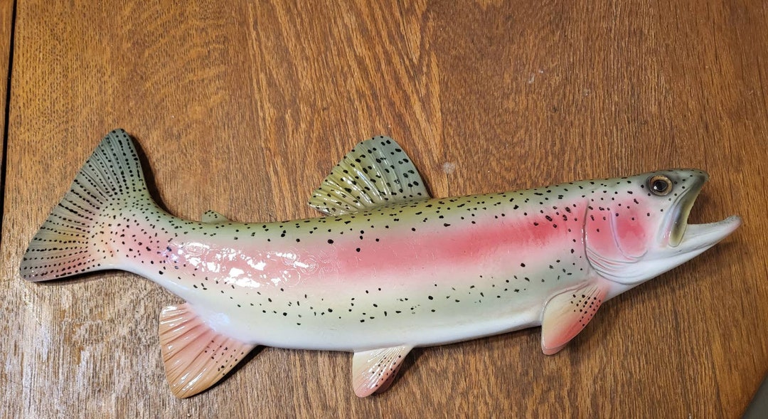 15 RAINBOW TROUT Mount by King Sailfish Mounts - Etsy