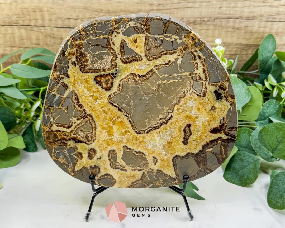 Extra-thick Utah Septarian "dragon Stone" Slice No. 4 (3.61lbs) – 8.5 ...