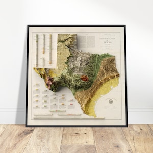 Texas Geology Map Topographical Relief Wall Art Poster, Unique Home ...