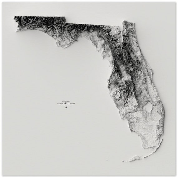 Mapa Topográfico De Elevación De Florida Amazon.com: Florida Maps