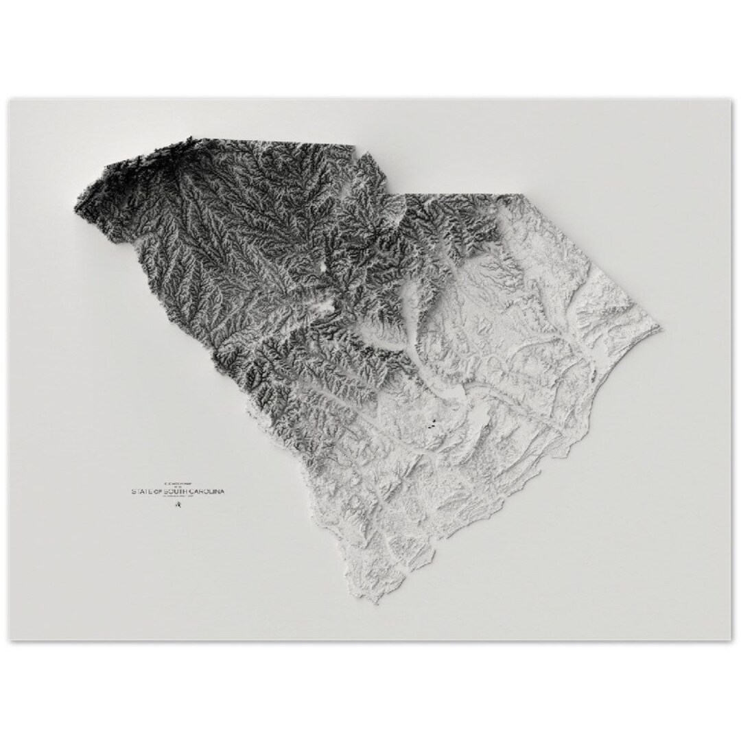 South Carolina Elevation Map Wall Art Print Topographic Map - Etsy