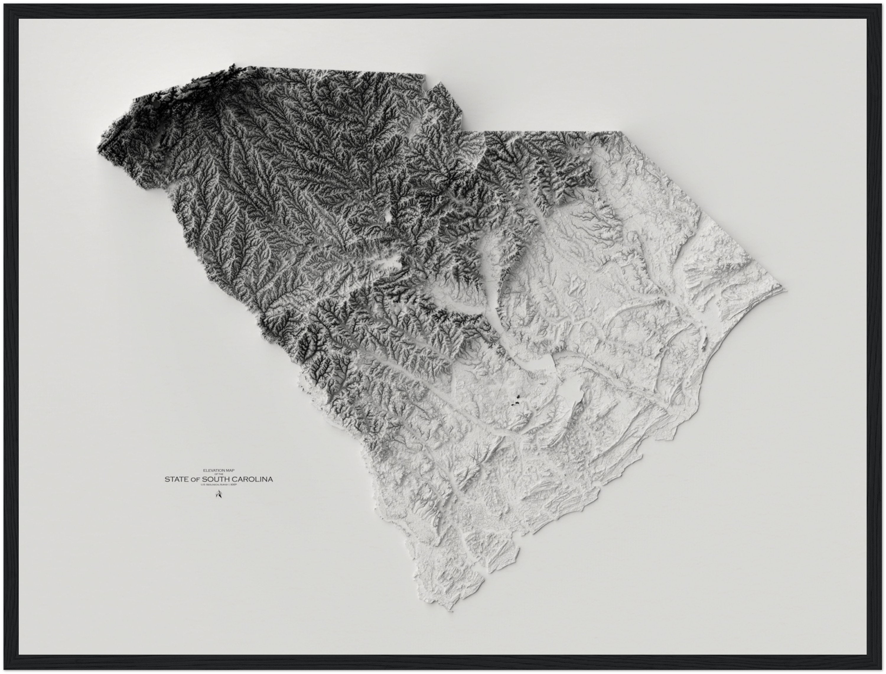 South Carolina Elevation Map Wall Art Print Topographic Map - Etsy