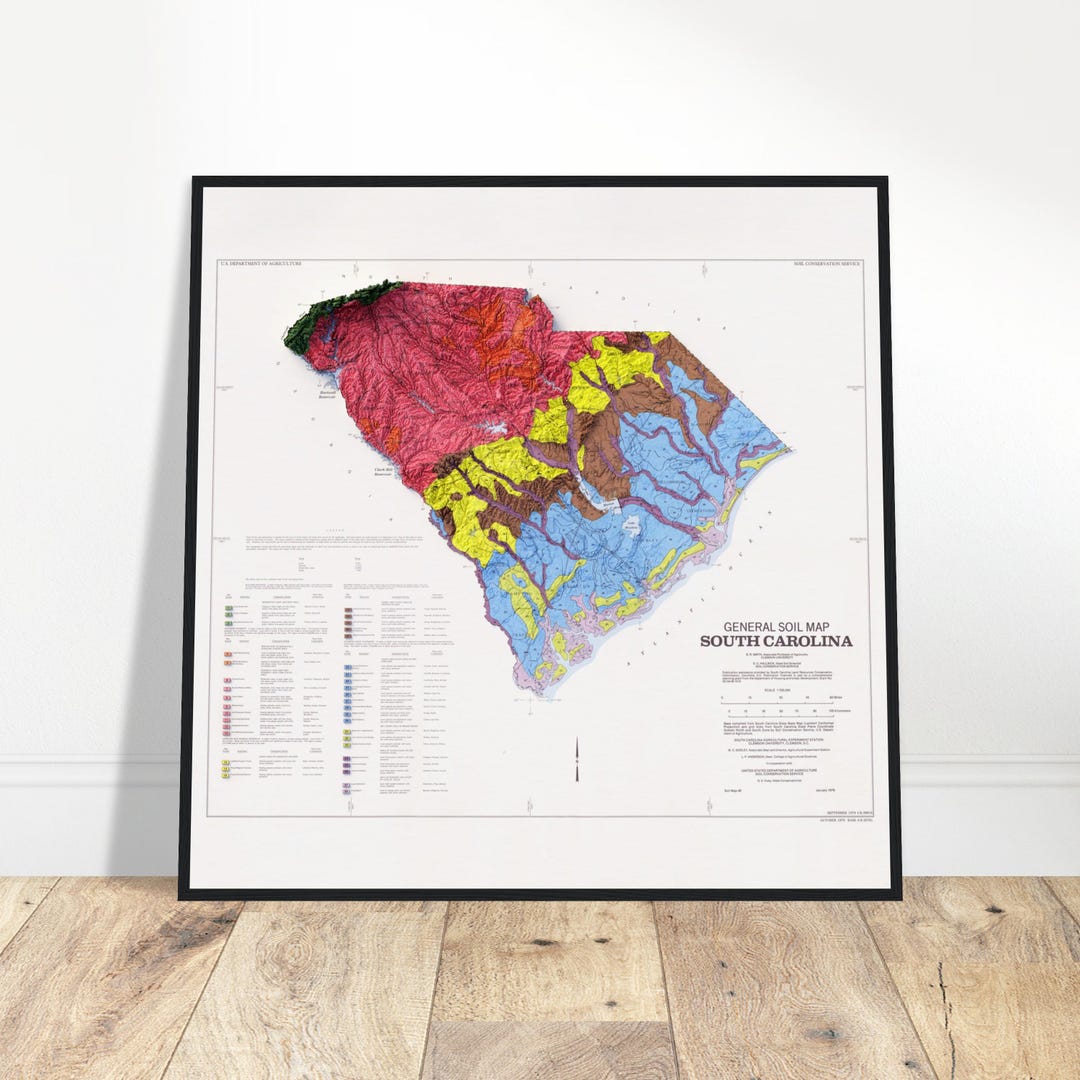 South Carolina Geology Map - Detailed Topographical Relief, Wall Decor ...