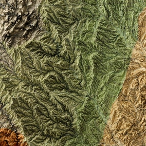 Texas Geology Map Topographical Relief Wall Art Poster, Unique Home ...