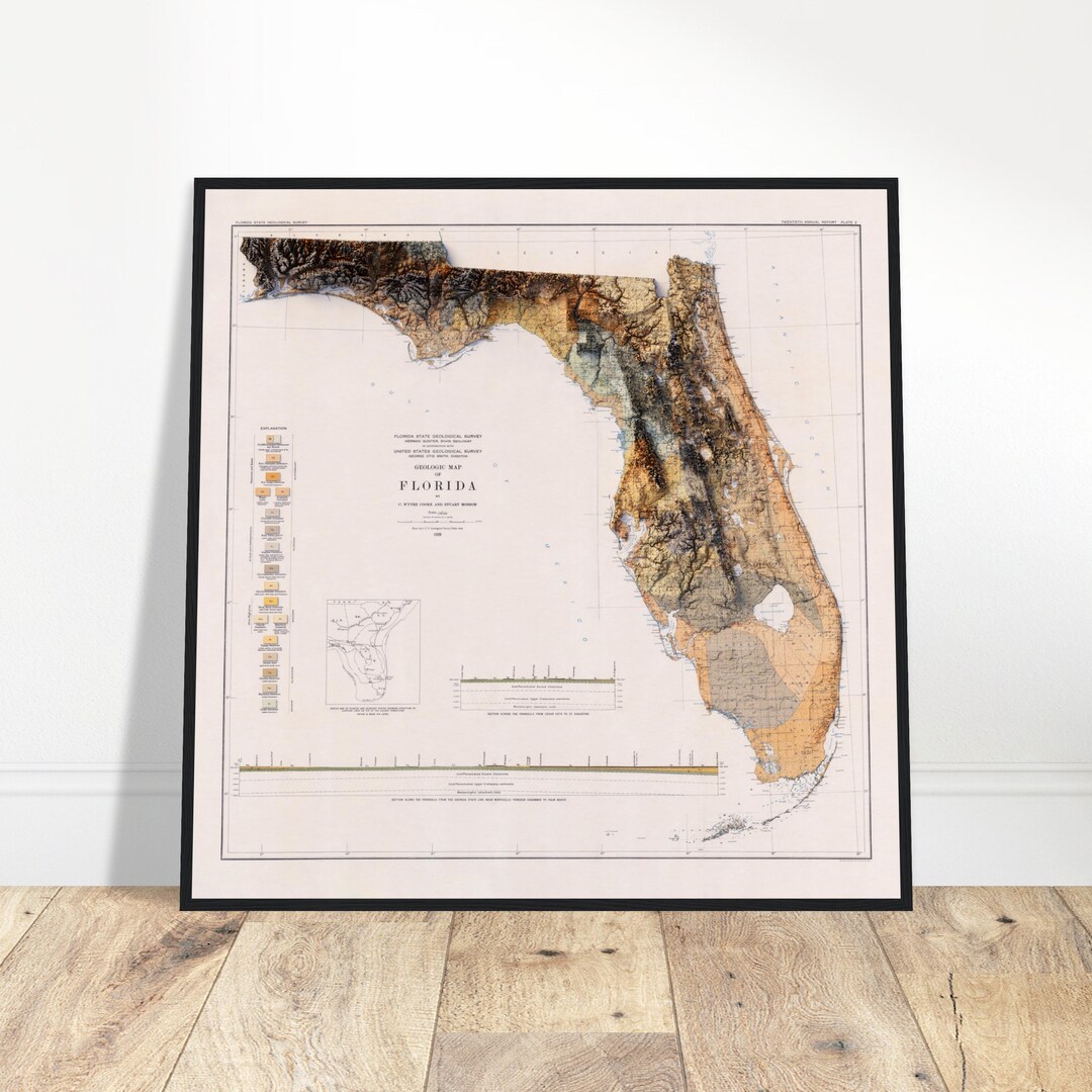 Florida Geology Map – Topographic Relief Map Art, Vintage Cartography ...