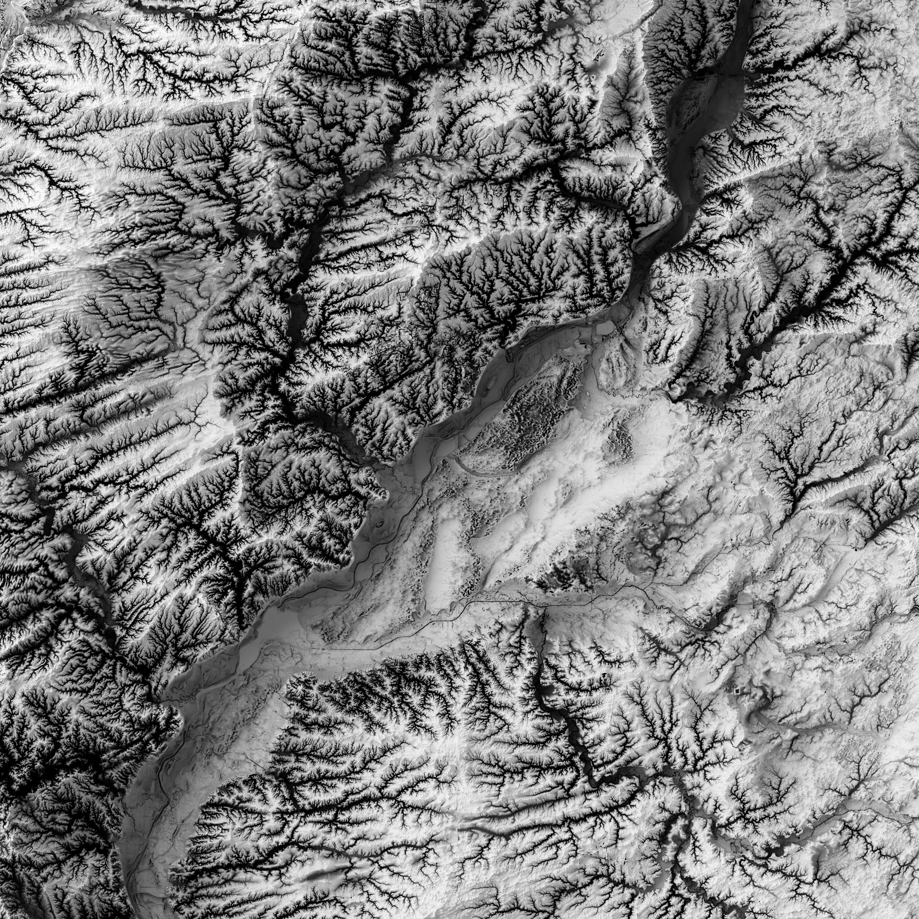 Illinois Elevation Map - Minimalist Black and White Topographic Wall ...