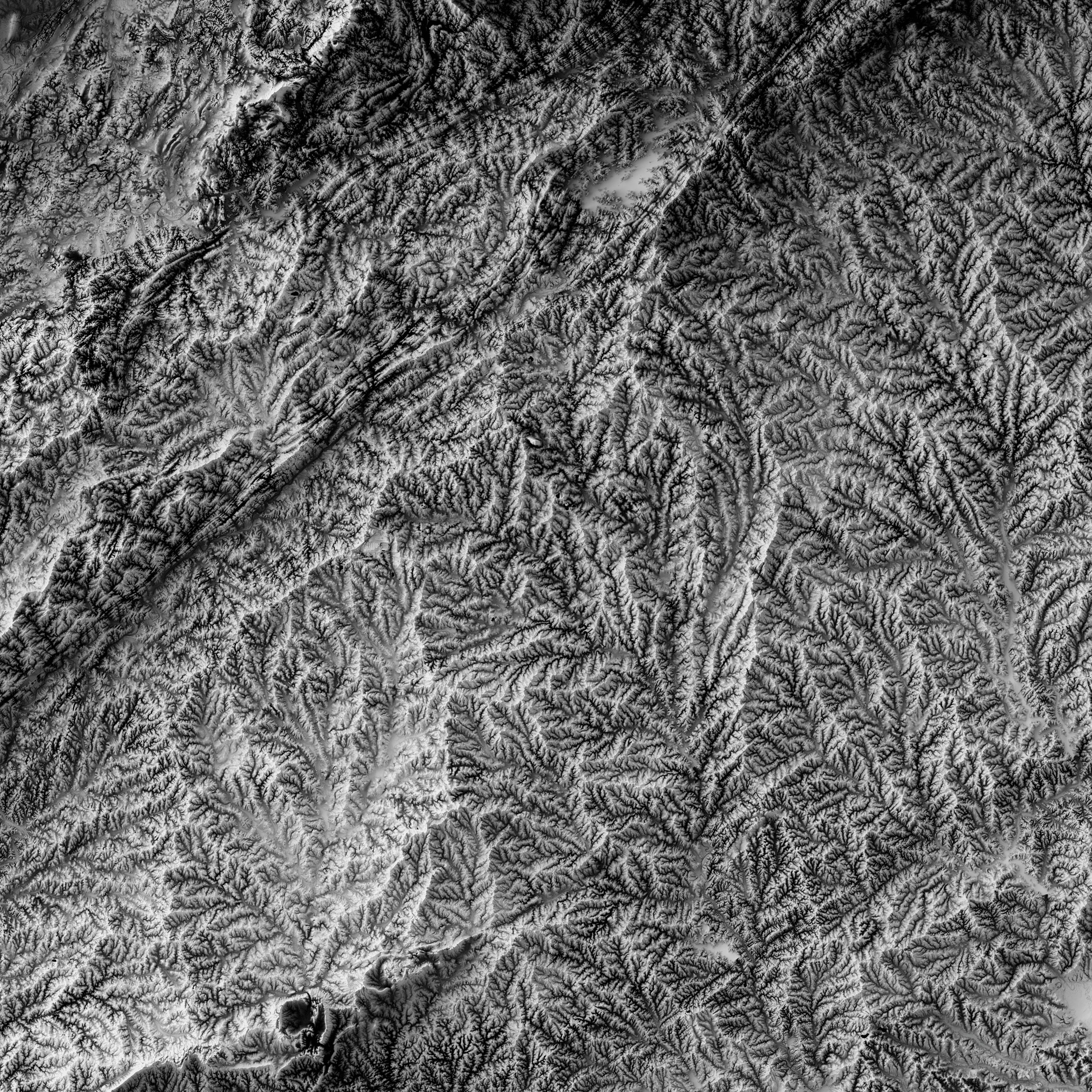 Georgia Elevation Map - Minimalist Black and White Topographic Wall Art ...