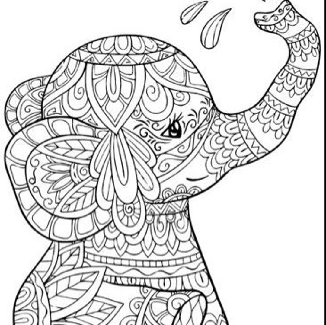 52 Animal Coloring Pages - Etsy
