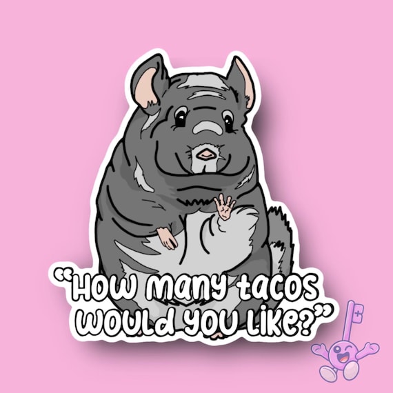 Funny Chinchilla Meme