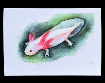Axolotl Watercolor - Etsy