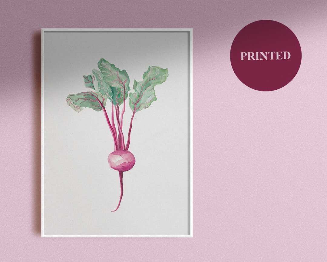 Print Watercolor Beetroot A3 Poster - Etsy