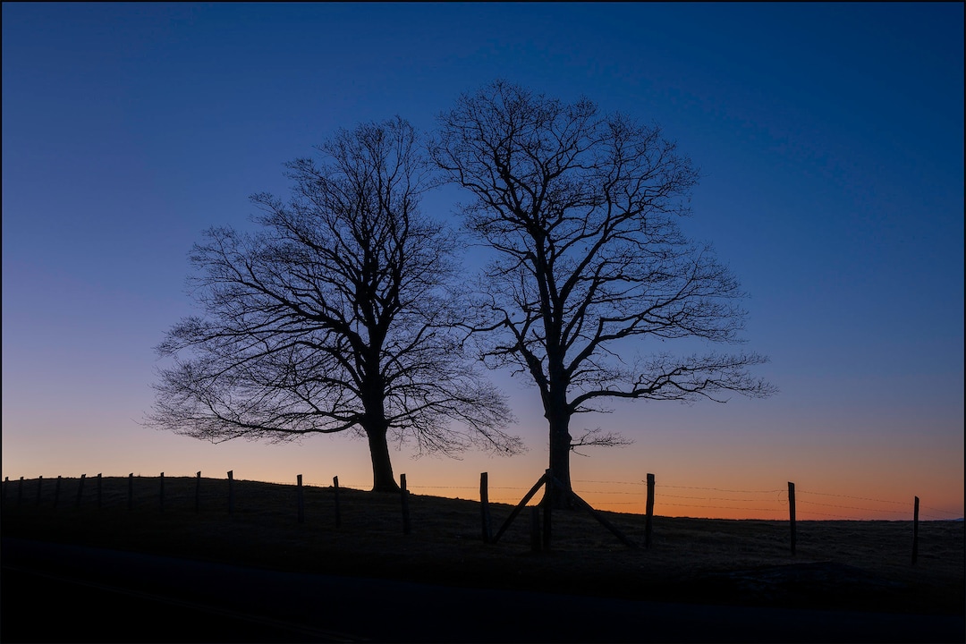 Twin Tree's, Blue Ridge Parkway, Western North Carolina, Mountain ...