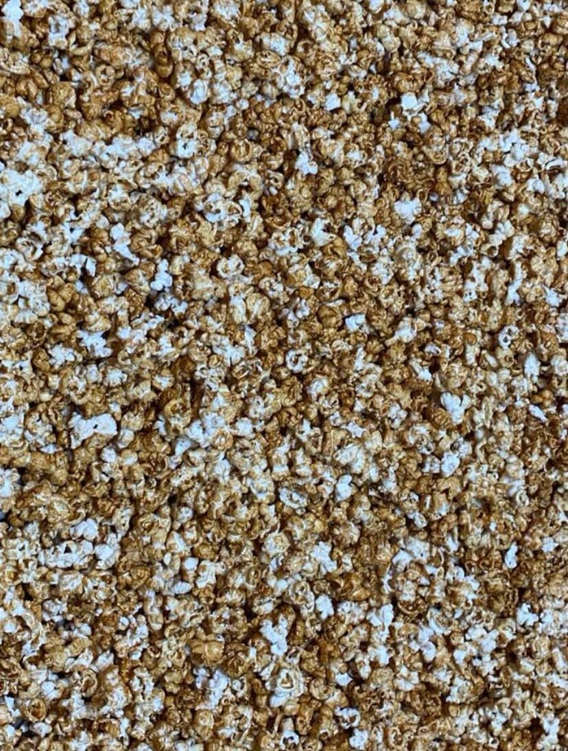 Gourmet Popcorn Large Bags - Etsy
