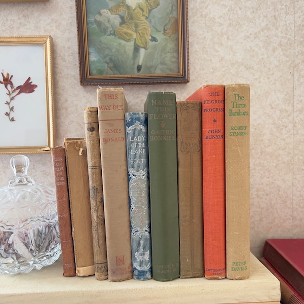 Antique Book Collection - Etsy
